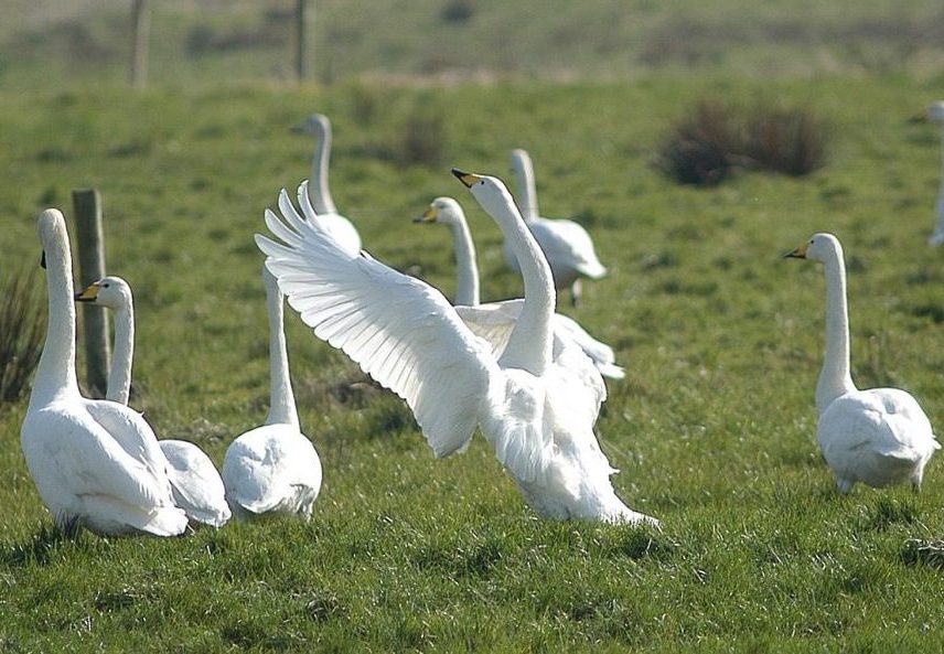 News & Media | Irish Cement